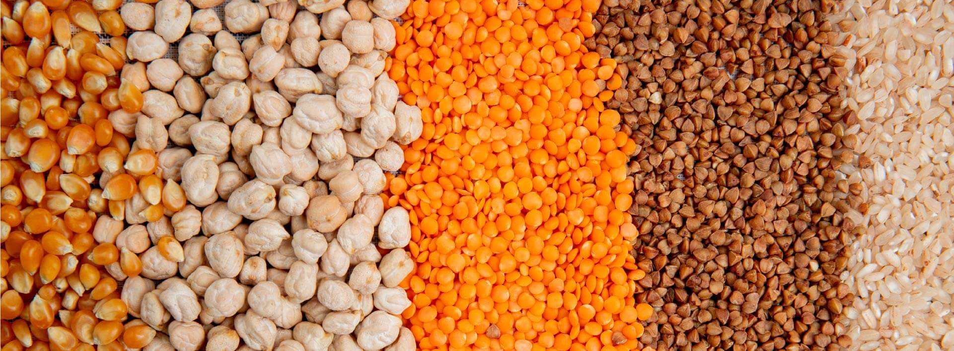 EGY PLANTA - One of top legumes exporters in Egypt